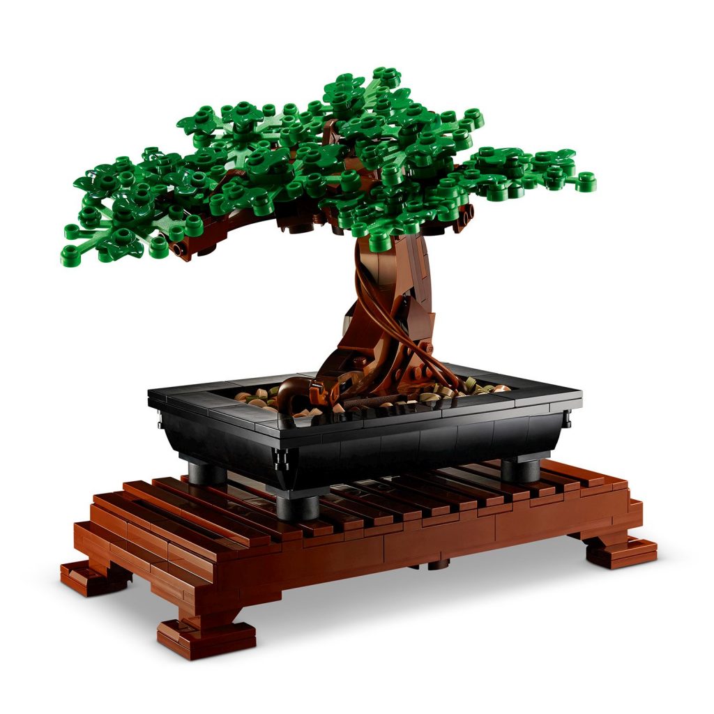 Tanam pokok Bonsai dalam rumah atau hadiahkan sejambak bunga dengan ...