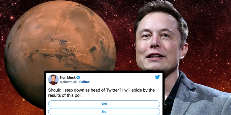 Elon Musk buat undian untuk undur dari Twitter, ada yang komen rindu ... Elon Musk buat undian untuk undur dari Twitter, ada yang komen rindu ...
