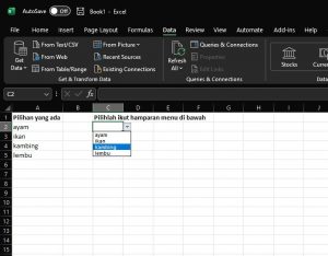 Cara wujudkan menu drop-down di Microsoft Excel - SoyaCincau.com